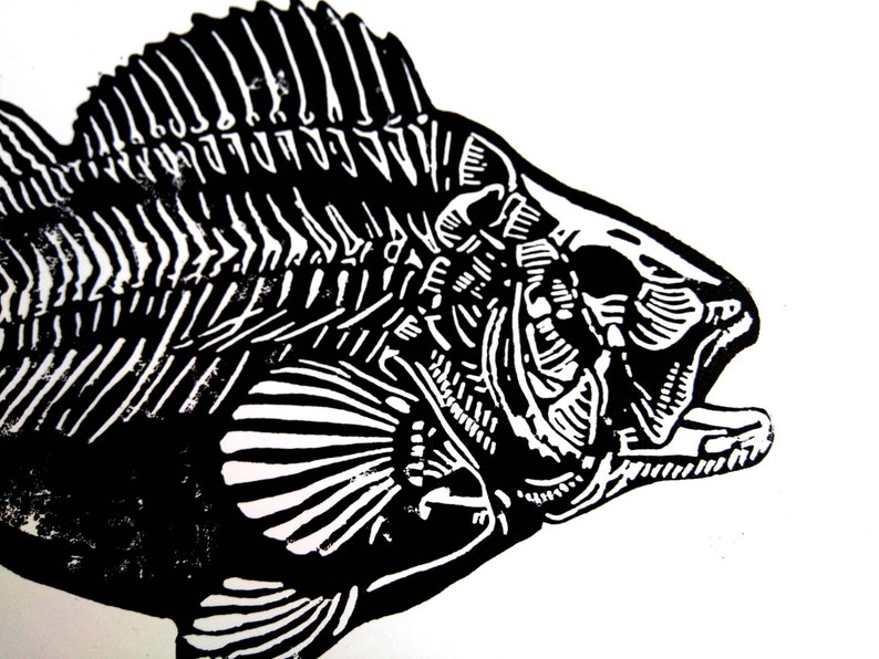 Linoprint, Linocut, Skeleton Fish, Handmade, Bones, Fishing, Limited ...