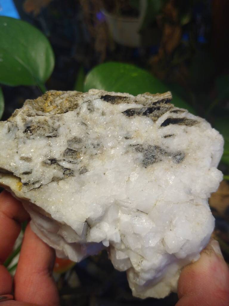 Raw VERMONT QUARTZ Rock Chunk Hand Mined 7 Oz. Natural - Etsy