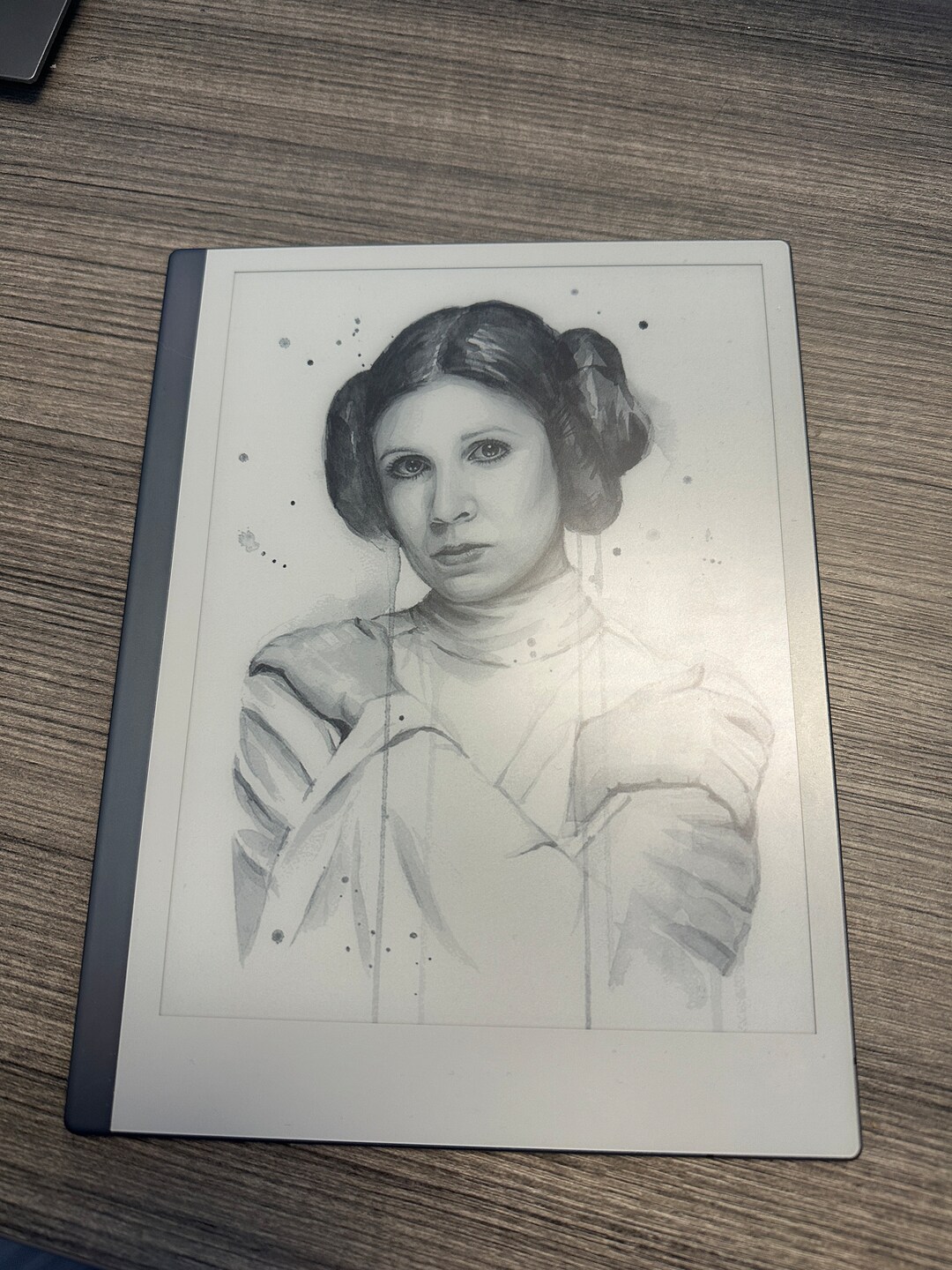Custom E-ink Screen - Princess Leia - Star Wars - Etsy