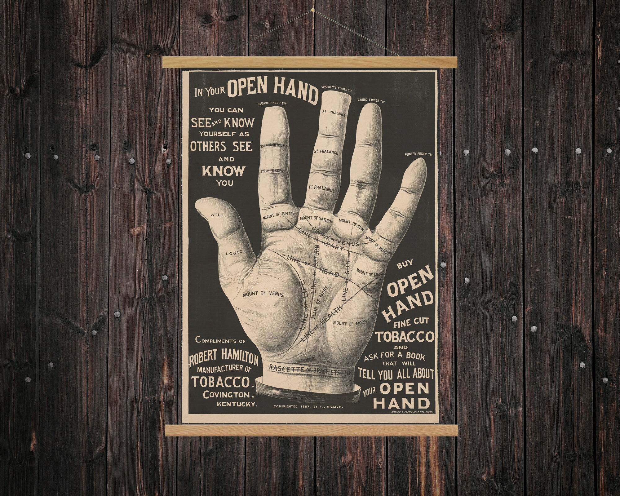 Victorian Palmistry Retro Print Vintage Art Print Wall Art | Etsy