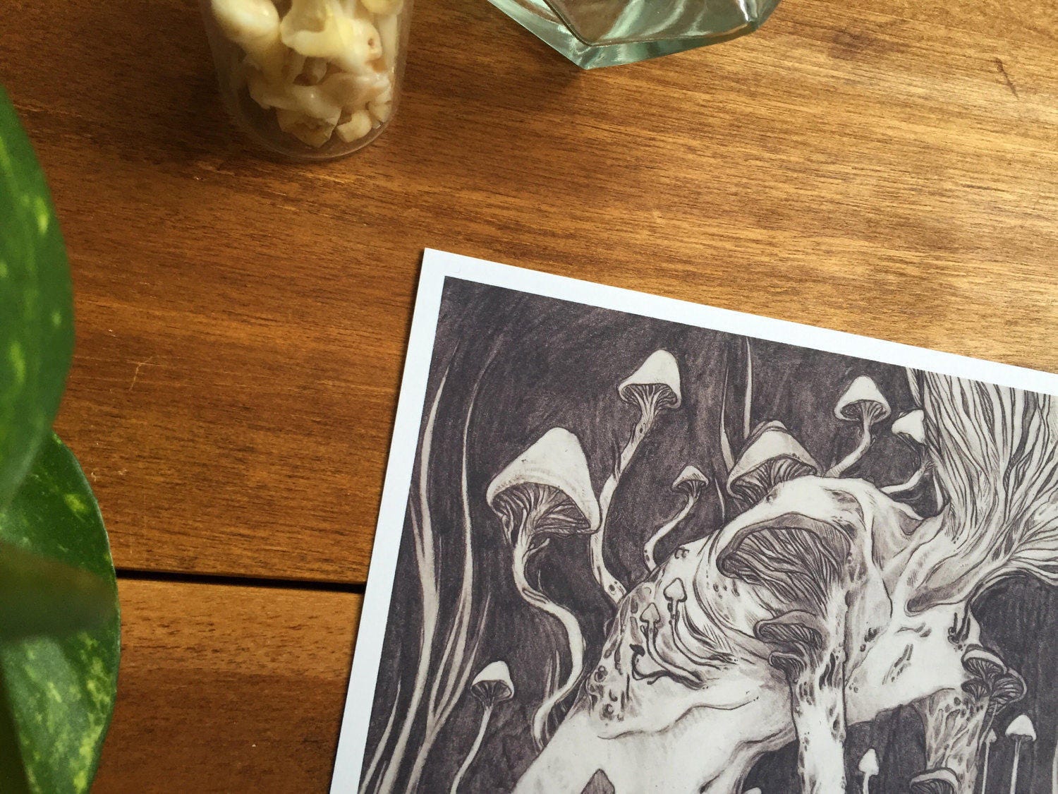 Fungus creature / 5 x 7 matte fine art print / Strange / | Etsy