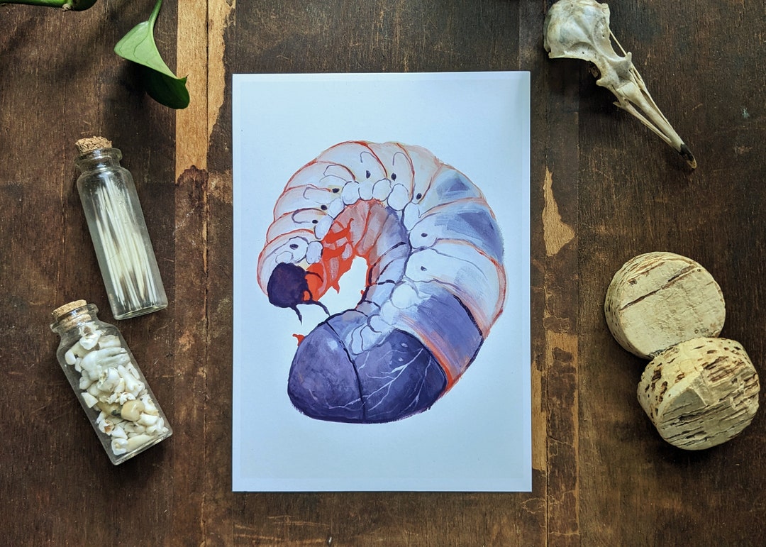 Grub / 5 X 7 Matte Fine Art Print / Bugs / Weird / Insect / Gouache on ...