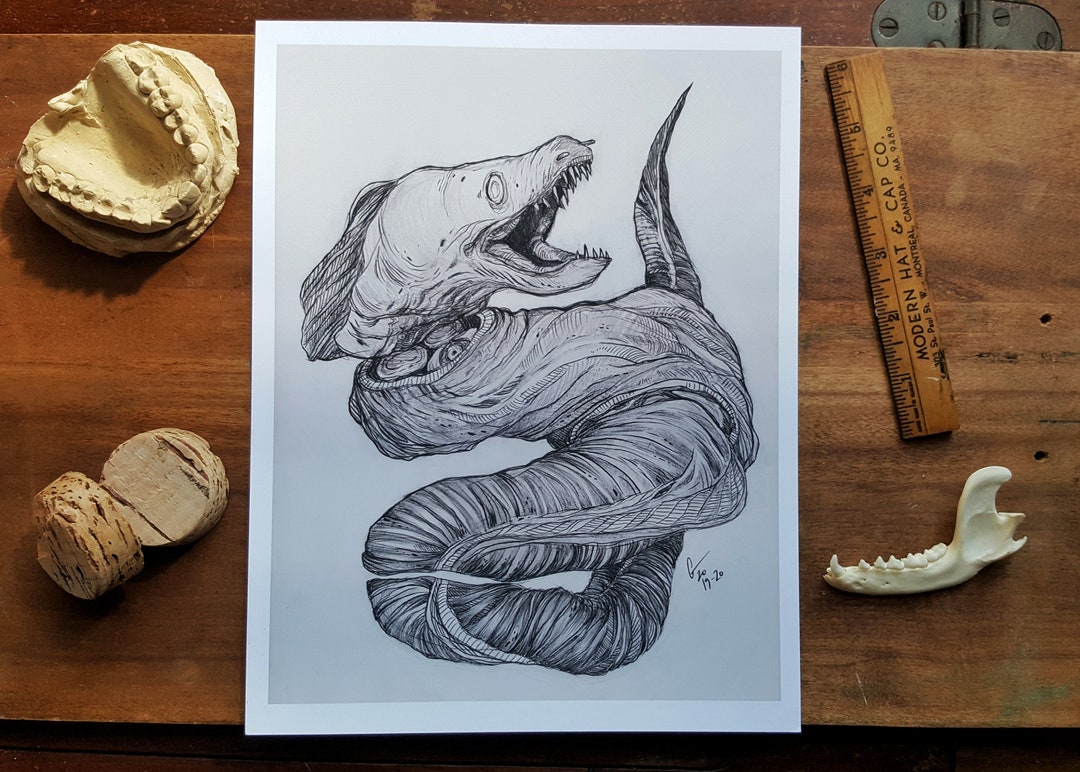 Moray Eel Print: Surreal Dark Art, Forest Mushroom Graphite (8.5x11) - Etsy