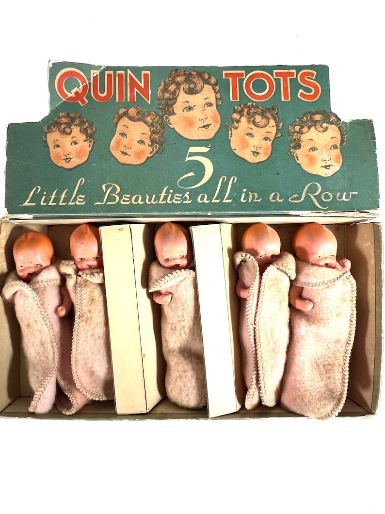 QUIN TOTS 5 Little Beauties All in a Row Bisque Dolls - Circa 1930's - Etsy