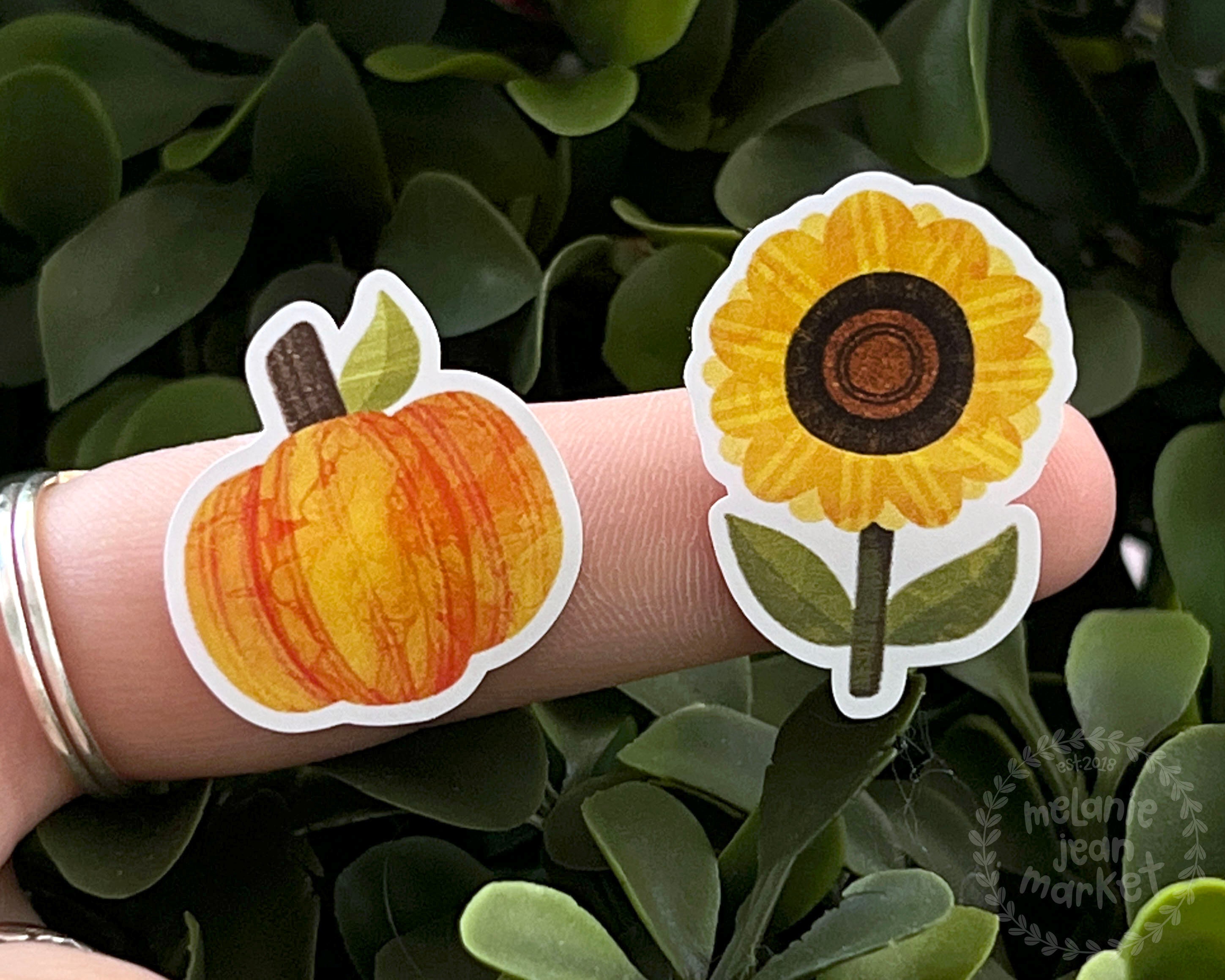 Fall Aesthetic Sticker Sheet Great for Bullet Journaling - Etsy