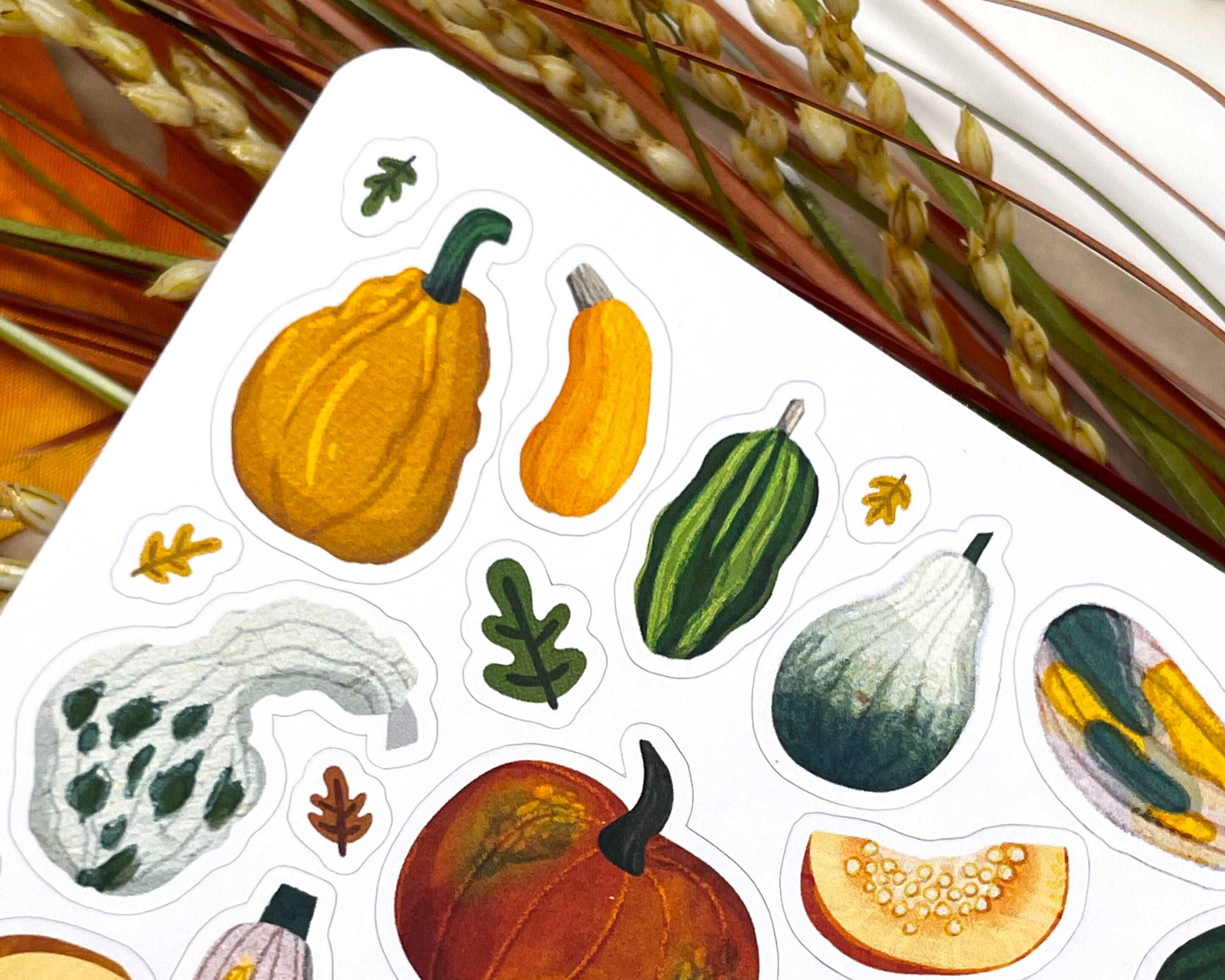 Gourds Sticker Sheet Autumnal Gourds Stickers Great for | Etsy
