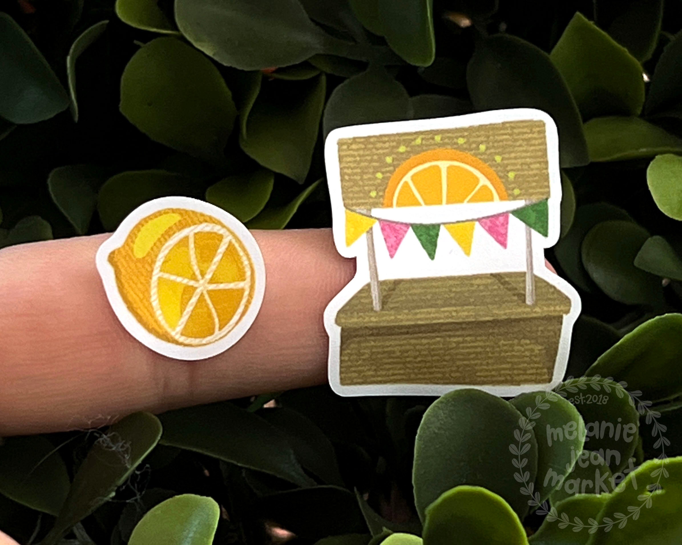 Lemonade Stand Summery Sticker Sheet Great for Bullet - Etsy