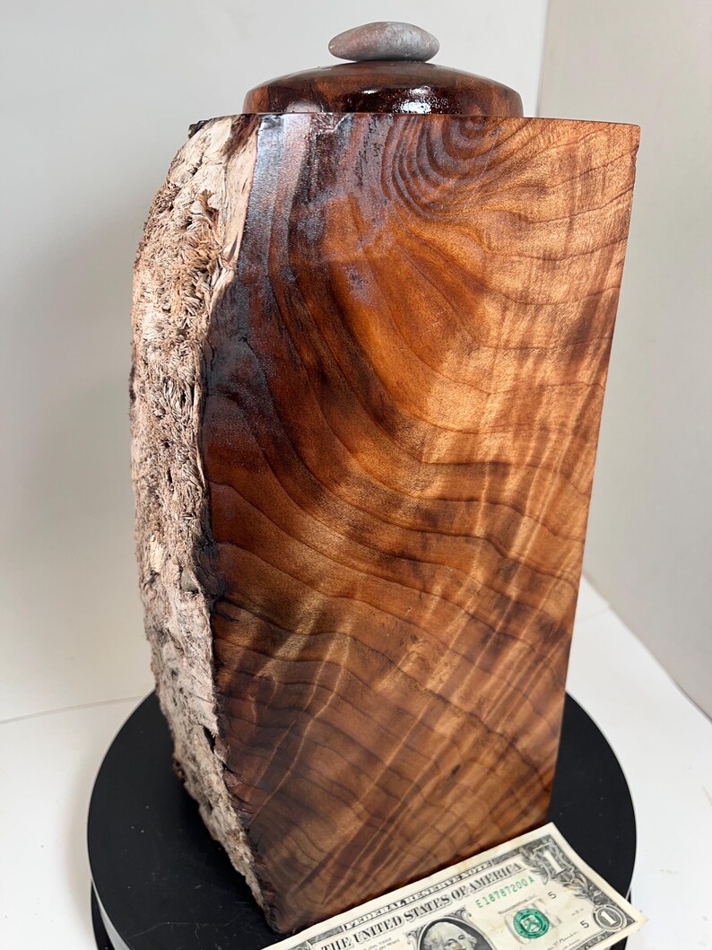 Redwood Burl Cremation Urn ( 200 Cubic Inches) - Etsy