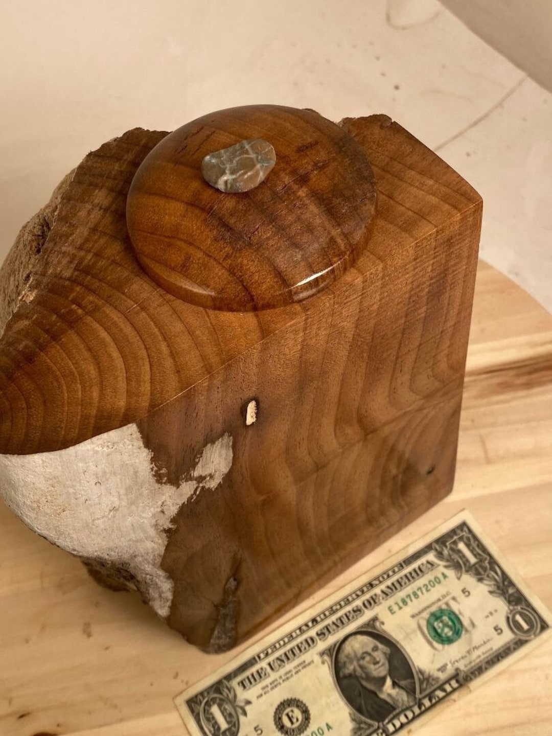 Driftwood Myrtlewood Cremation Urn: Unique Memorial Keepsake (80 Cubic ...