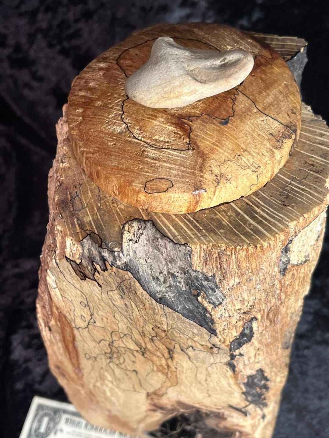 Spalted Willow Driftwood Cremation Urn, Urns for Human Ashes, Urns for ...