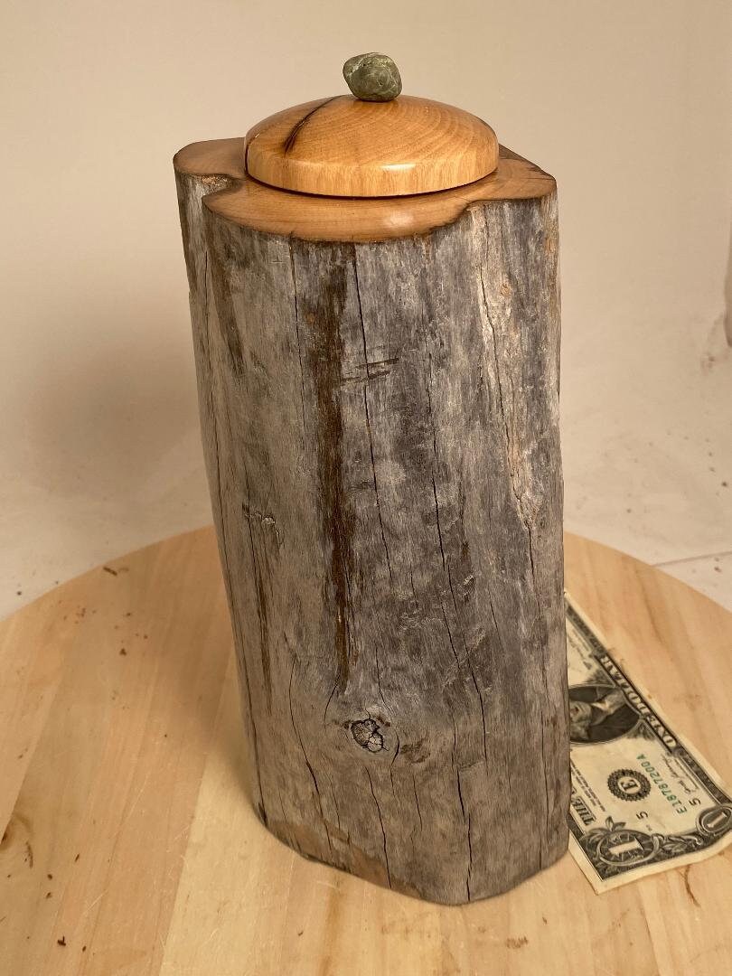 Medium Blonde Myrtle Wood Driftwood Urn Urns for Human Ashes - Etsy