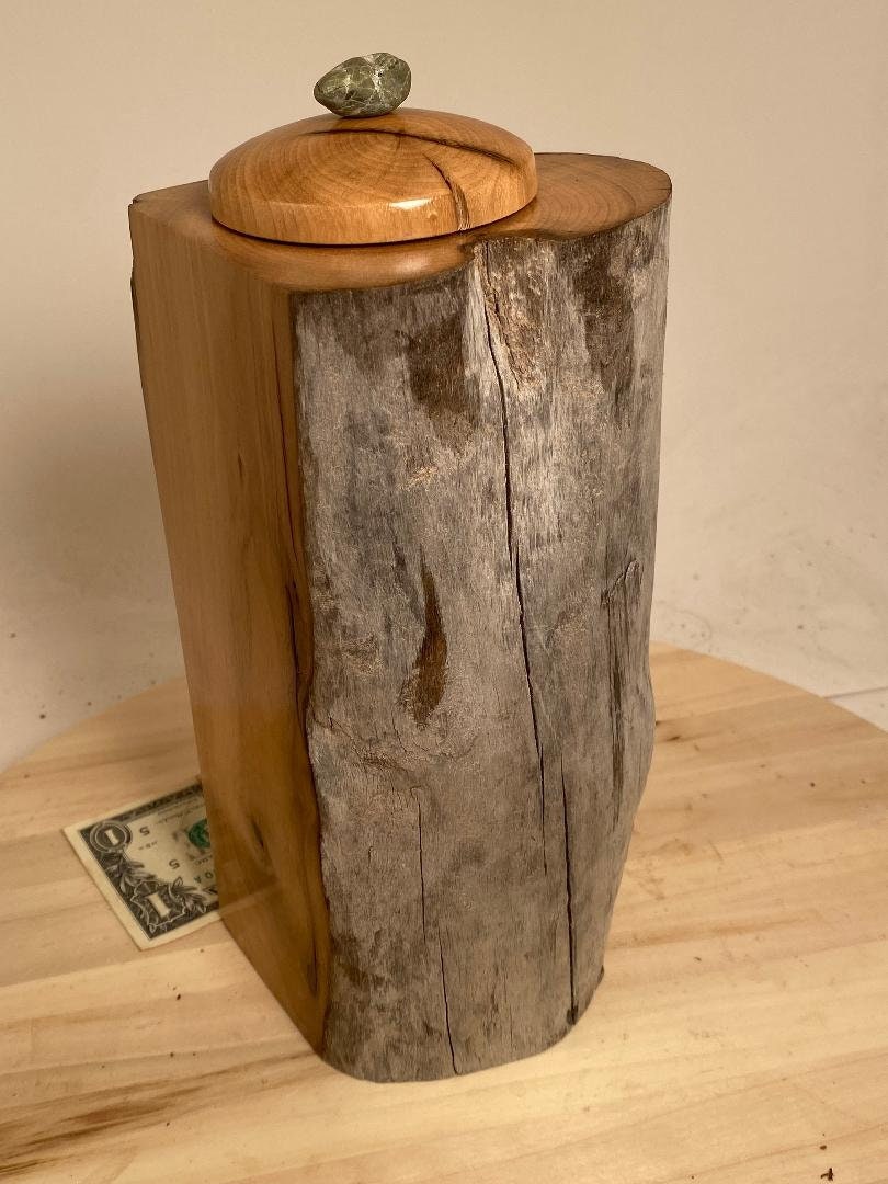 Medium Blonde Myrtle Wood Driftwood Urn Urns for Human Ashes - Etsy
