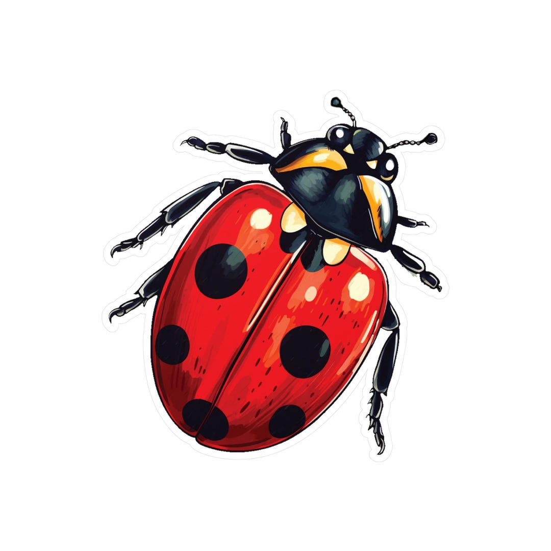 Ladybug Bug Insect Animal Sign Bumper Vinyl Sticker Decal - Etsy
