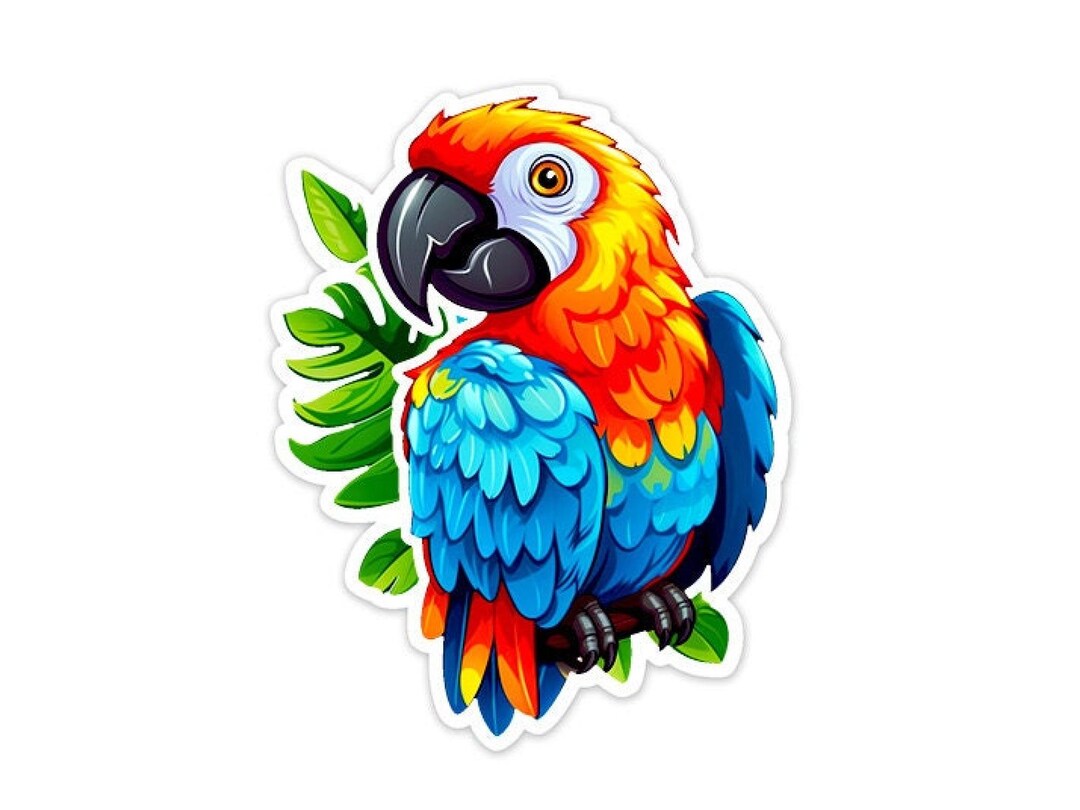 Cockatiel Parrot Parakeet Bird Baby Animal Vinyl Bumper Sticker Decal ...