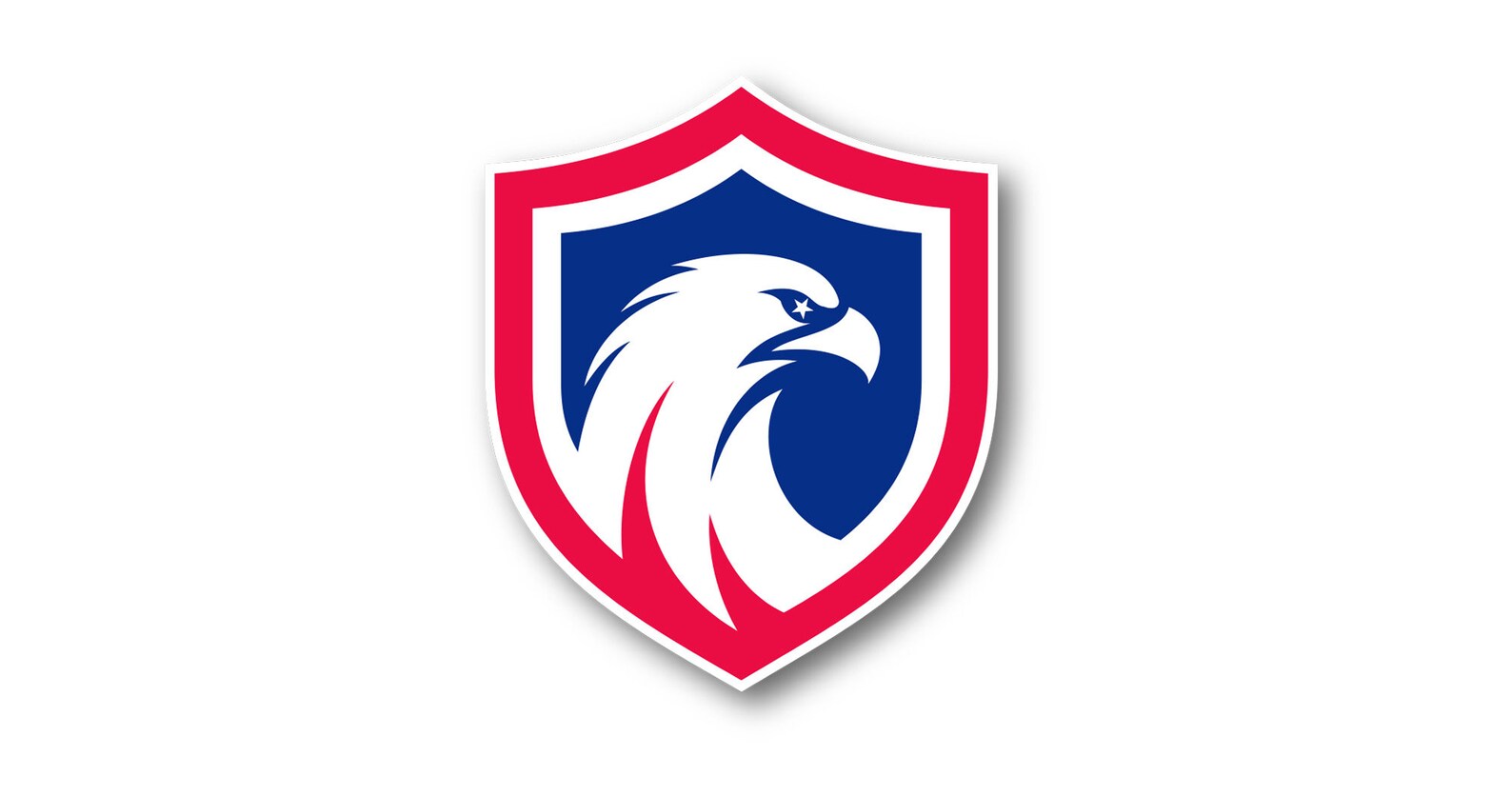 Eagle Hawk Head Patriot America US Flag Banner USA American | Etsy