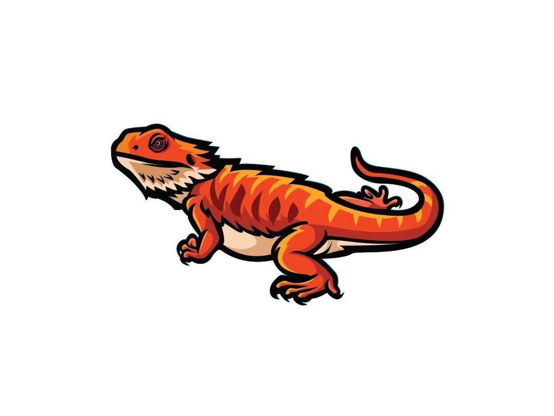 Bearded Dragon Lizard Animal Bumper Sticker Decal - Etsy