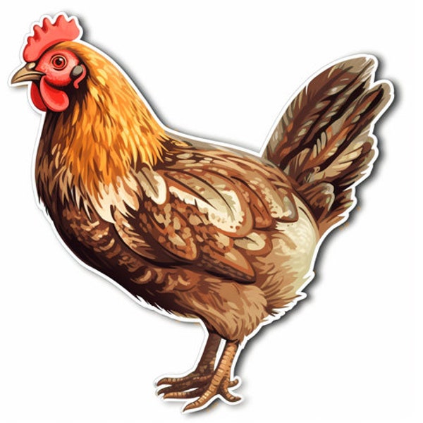 Chicken Decal - Etsy