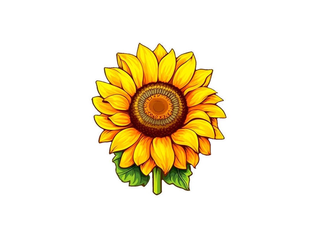 Sunflower Leaf Flower Yellow Plant Bumper Sticker Decal - Etsy