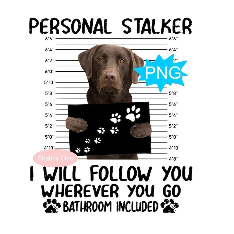 Png Chocolate Lab Shirt - Etsy UK