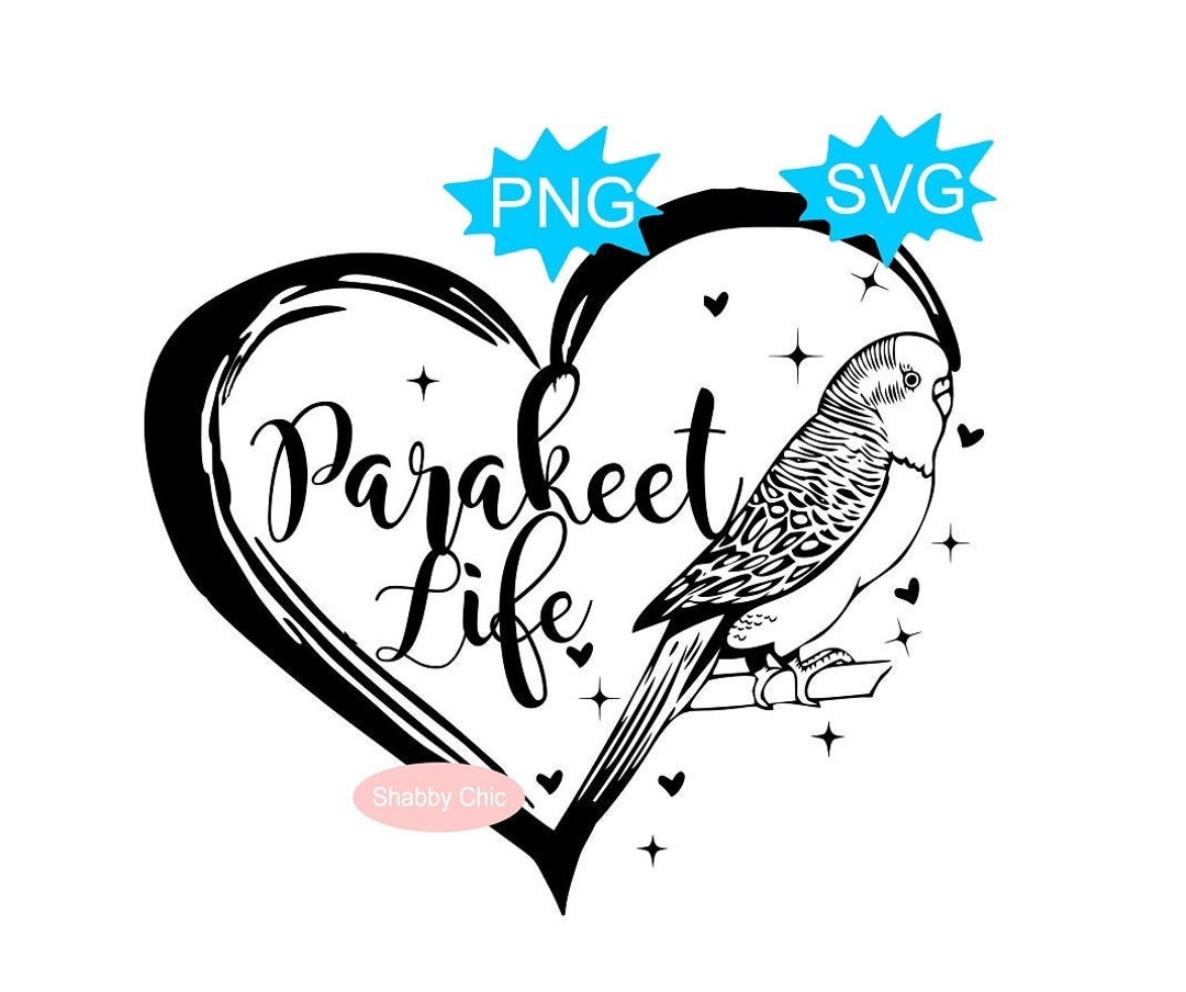 Parakeet Svg, Parakeet Png, Budgie Svg, Budgie Png, Parakeet Bird Svg ...