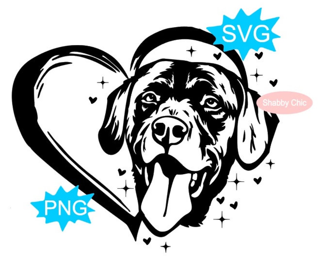 Labrador Svg, Labrador Png, Labrador Sublimation, Labrador Retrieve Svg ...