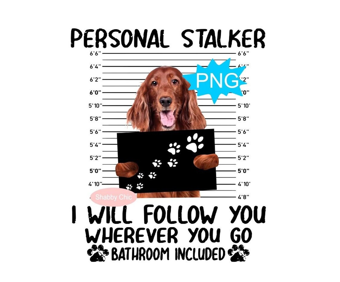 Irish Setter Png, Red Setter Sublimation, Irish Setter Sublimation ...