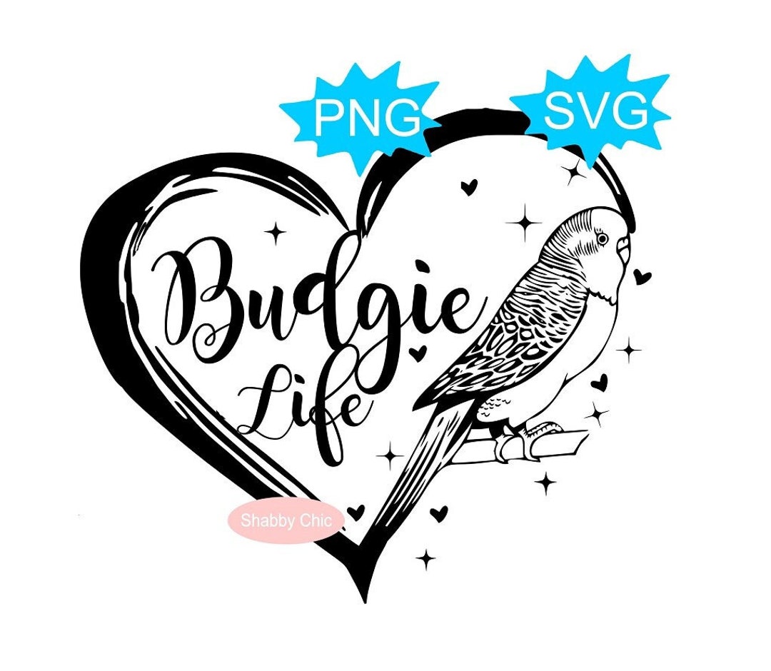 Budgie Svg, Budgie Png, Parakeet Svg, Parakeet Png, Parakeet Bird Svg ...