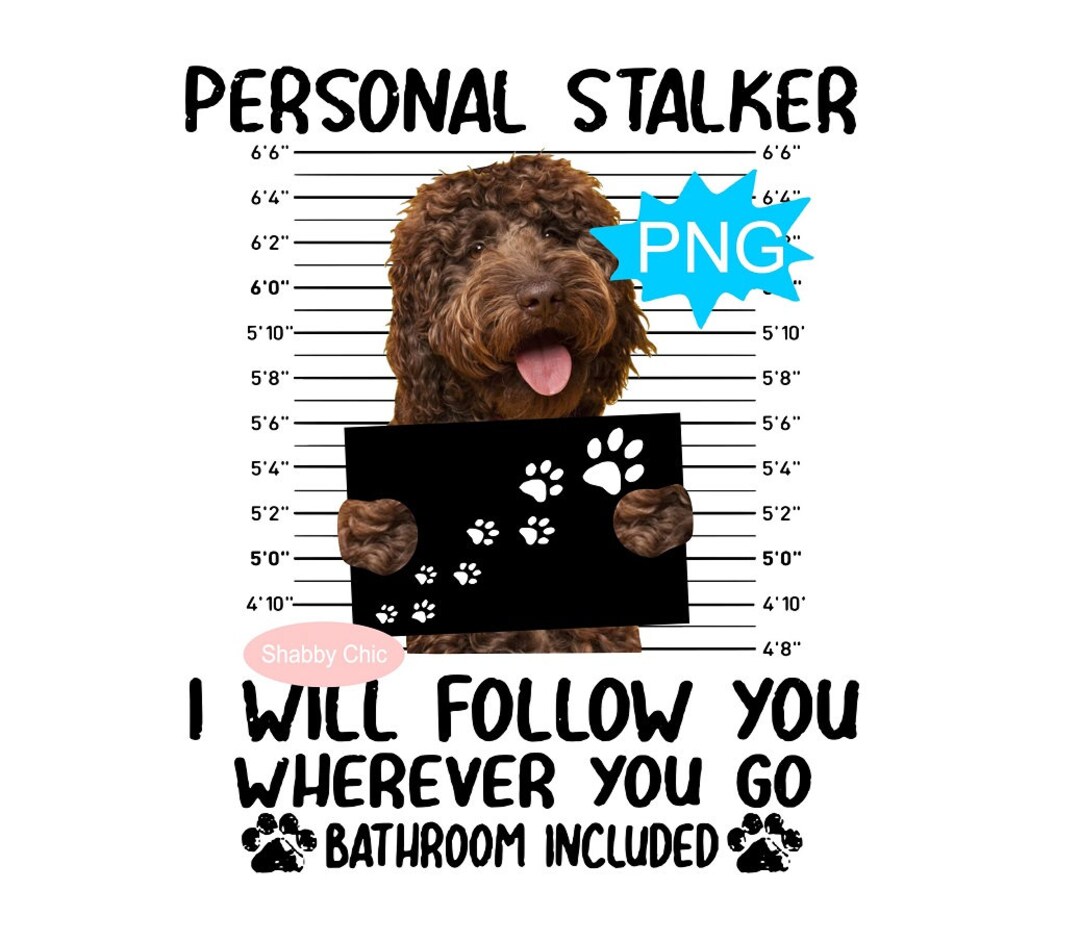 Labradoodle Png, Brown Labradoodle Png, Australian Labradoodle Png ...