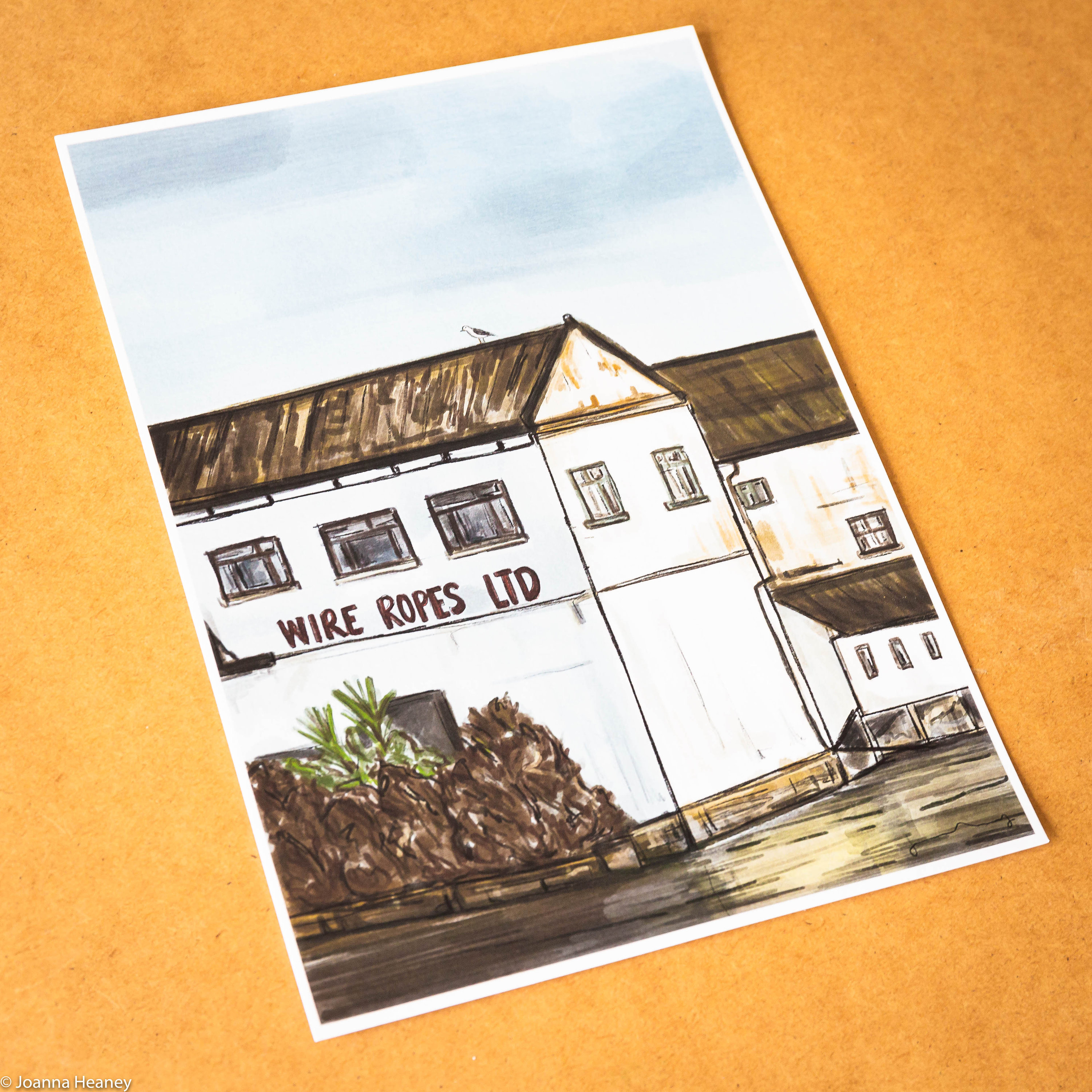 Wire Ropes, Wicklow Town - Digital Print — Storehouse Arts