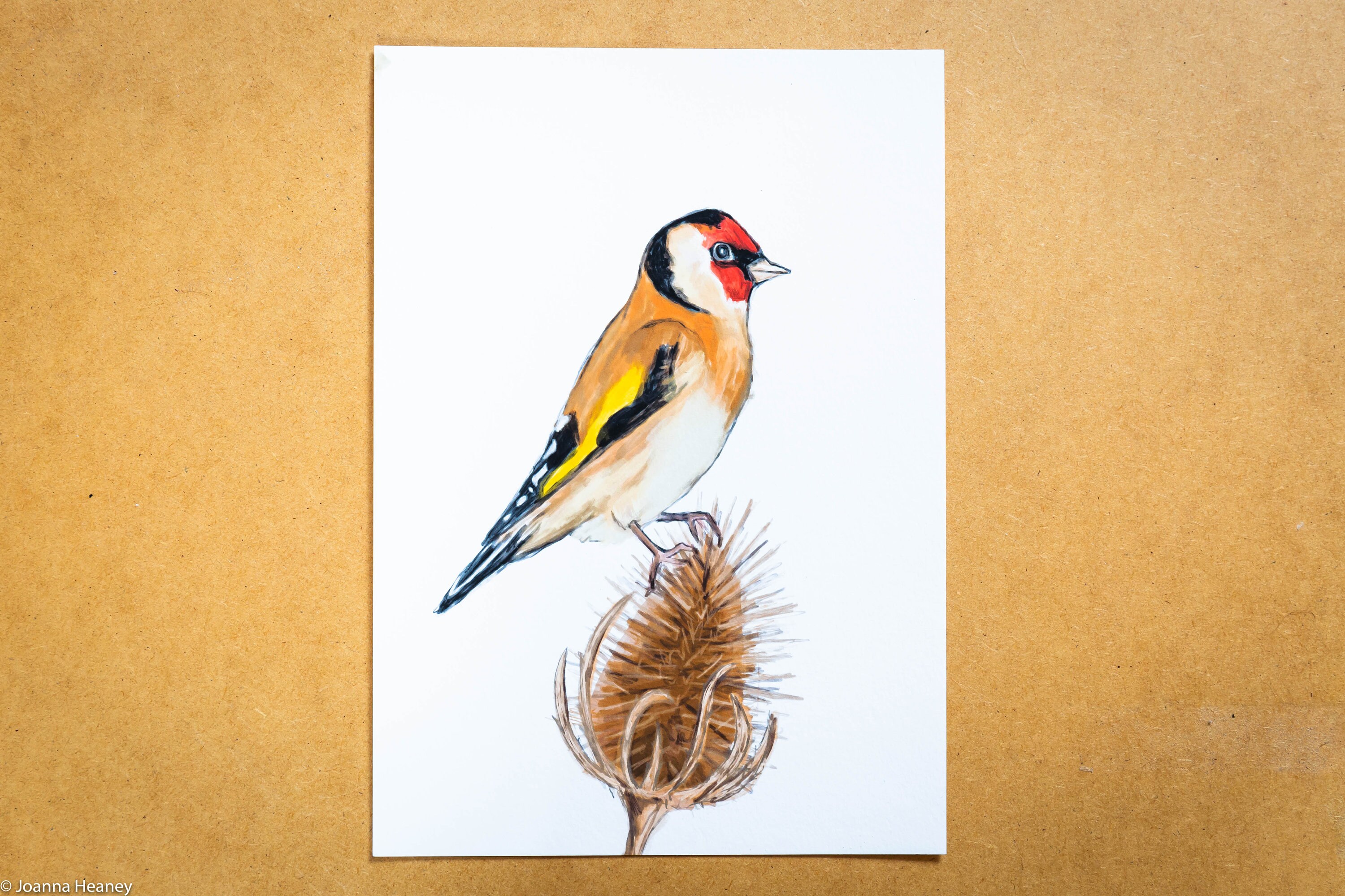 Gold Finch - Digital drawing — Storehouse Arts