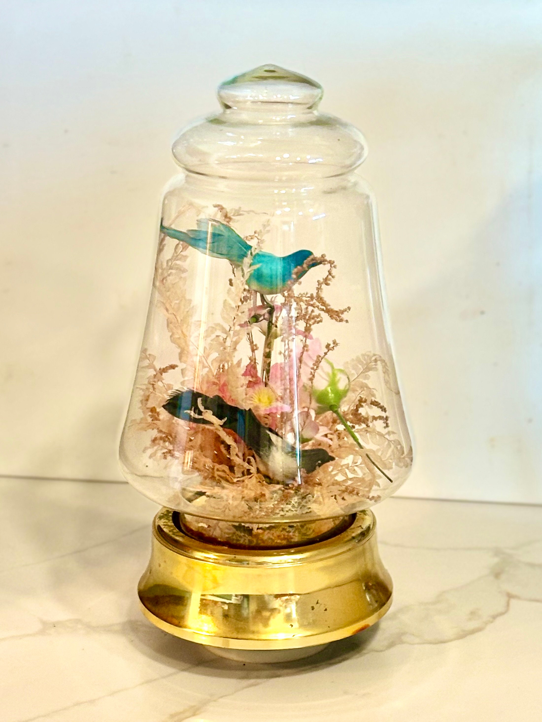 Vintage Kitschy Music Box Light up Apothecary Glass Spinning - Etsy