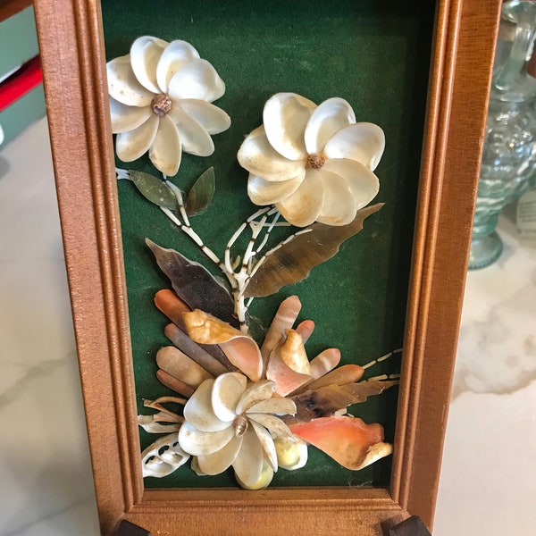 Seashell Art - Etsy