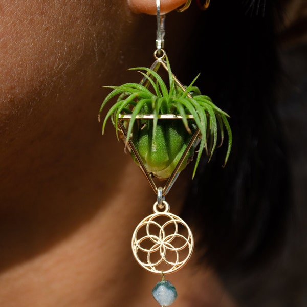 Plant Jewelry - Etsy