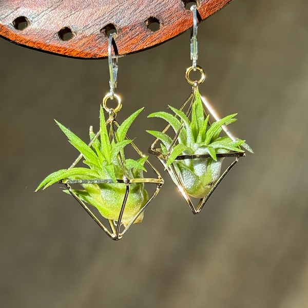 Plant Earrings - Etsy