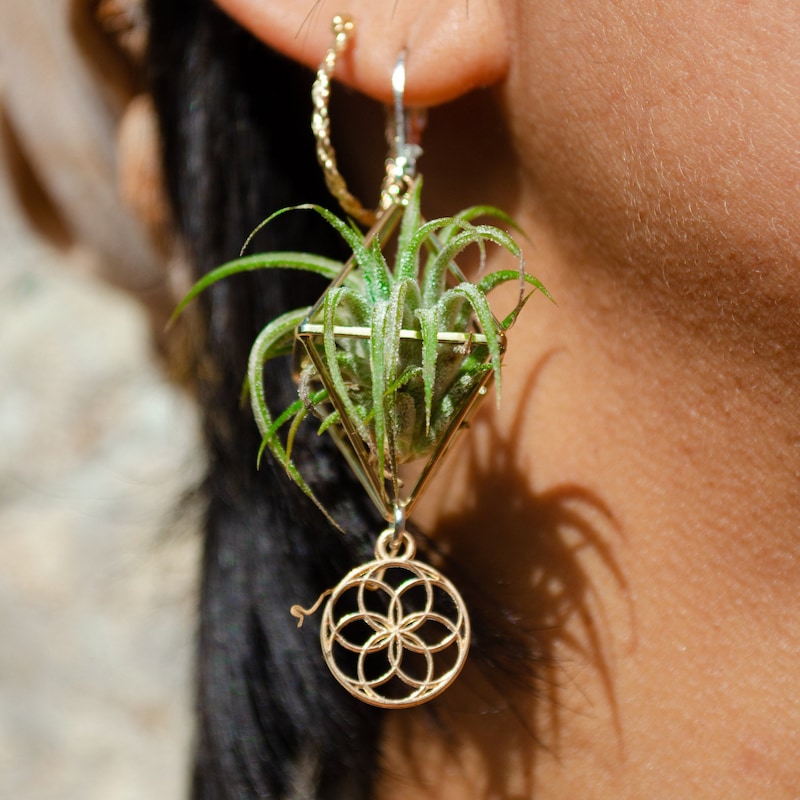 Plant Earrings - Etsy