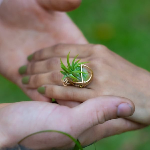 Plant Jewelry - Etsy