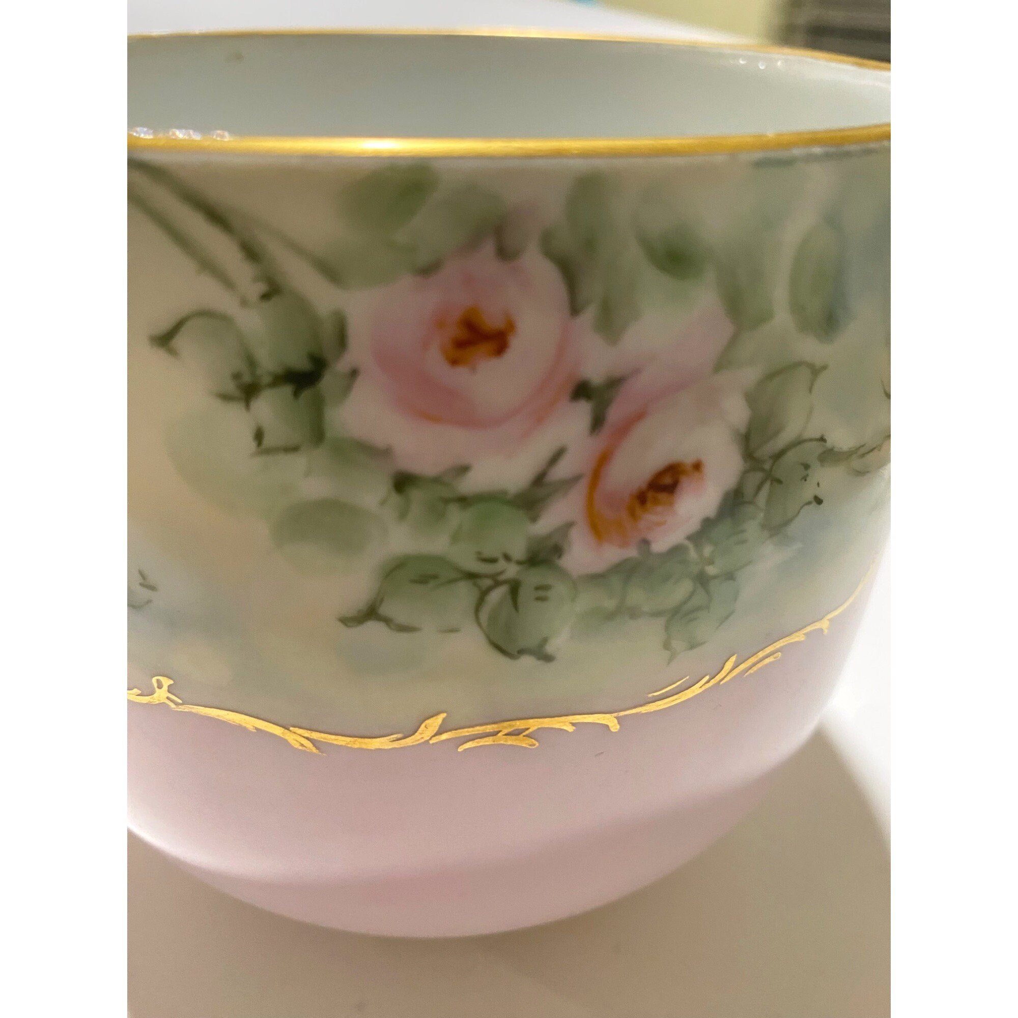 Vtg WG Limoges Porcelain Pink Peony Decorated JARDINERE Planter Mum Pot ...