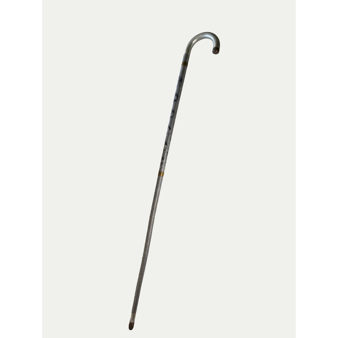 Vintage Souvenir Walking Cane From the 1934 Chicago World's Fair - Etsy