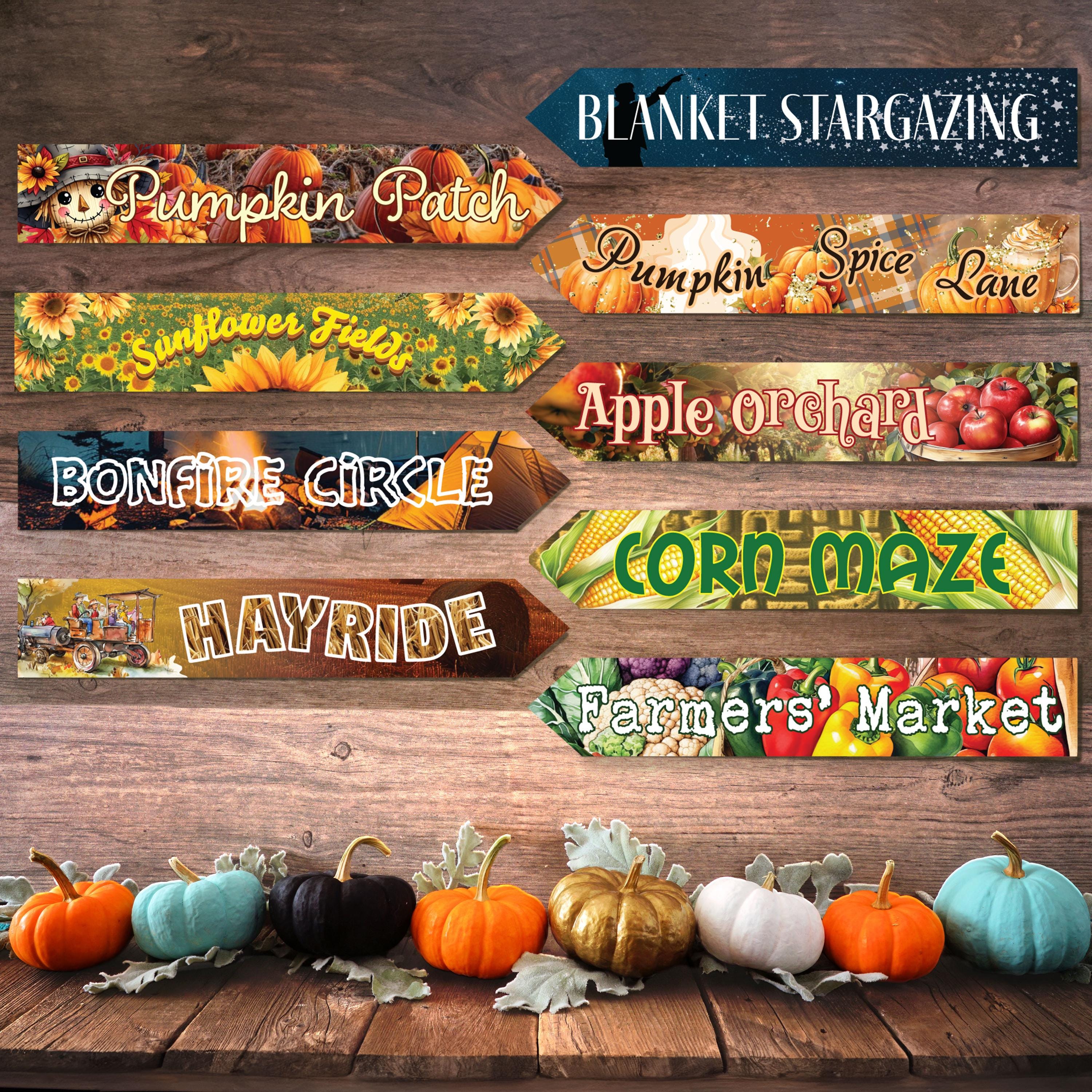 Fall Directional Arrow Sign: Weatherproof Outdoor Decor - Made in USA ...
