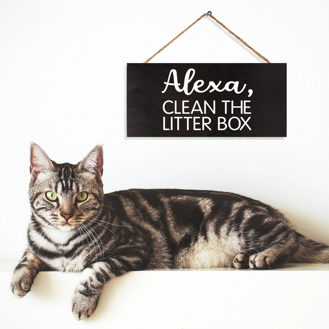 Alexa Clean the Litter Box Wood Sign, Funny Farmhouse Cat Decor, Cat ...