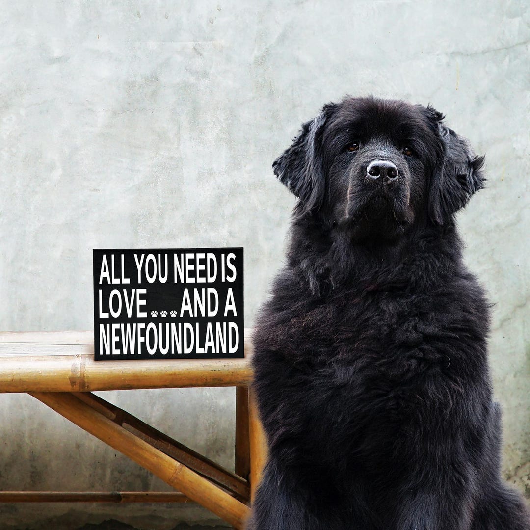 Newfoundland Dog Wooden Sign: Newfie Home Decor Gift - Etsy