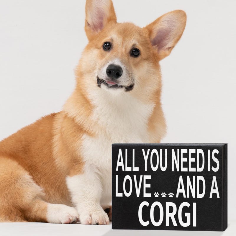 Corgi Wall Art - Etsy