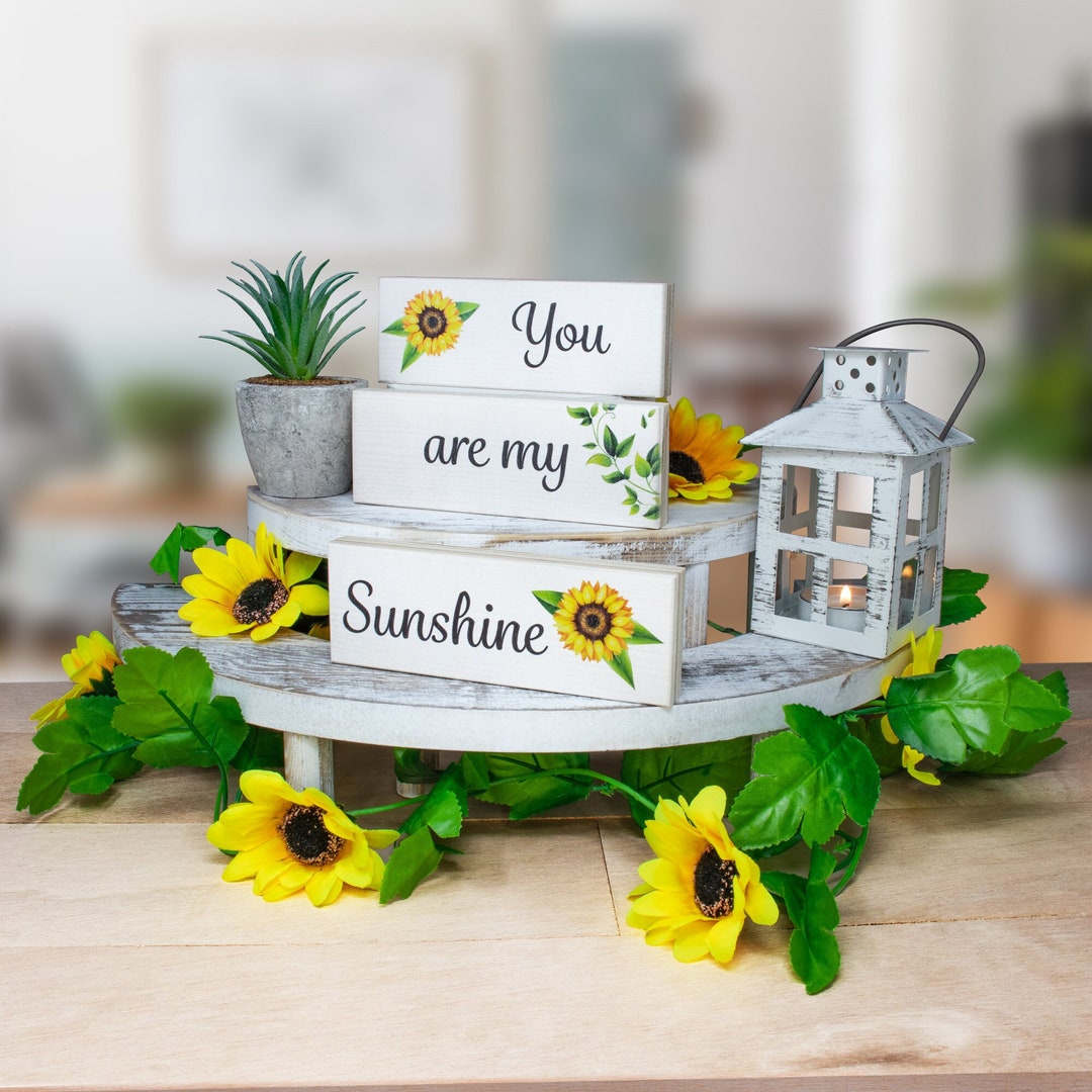 You Are My Sunshine Decor You Are My Sunshine Gifts - Etsy
