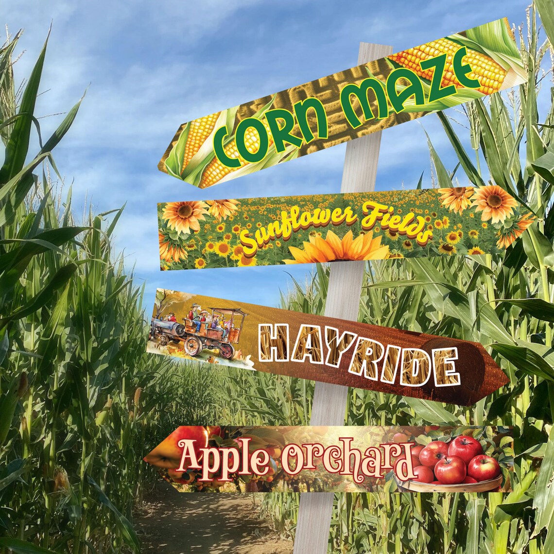 Fall Directional Arrow Sign: Weatherproof Outdoor Decor - Made in USA ...