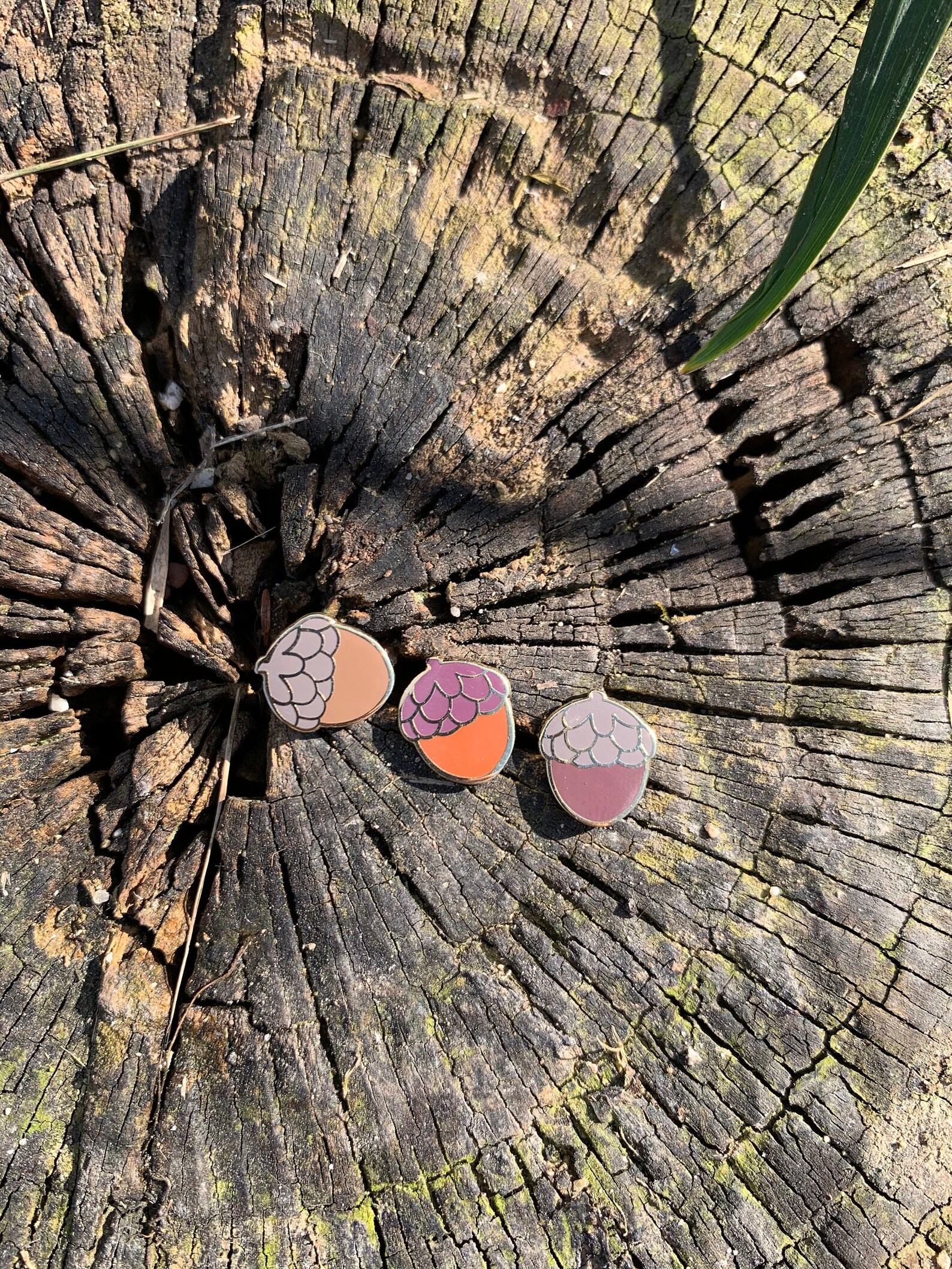 Acorn pin set | Etsy