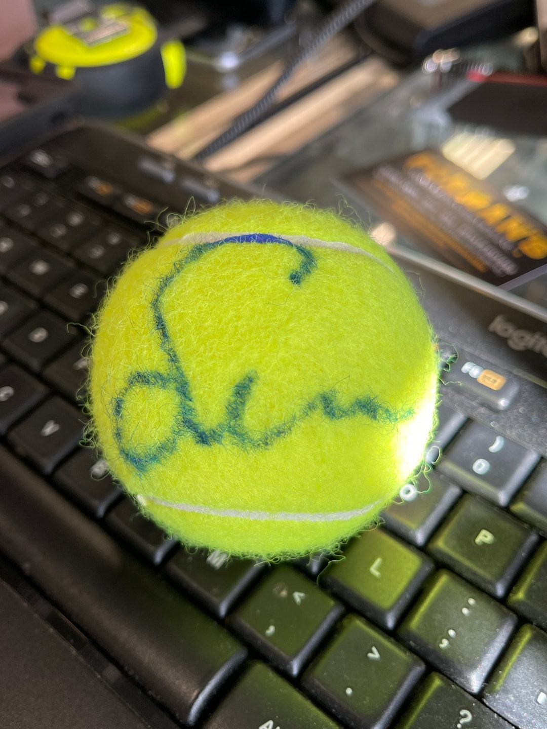 Serena & Venus Williams 2x Hand Signed Autograph Wilson US OPEN 4 ...