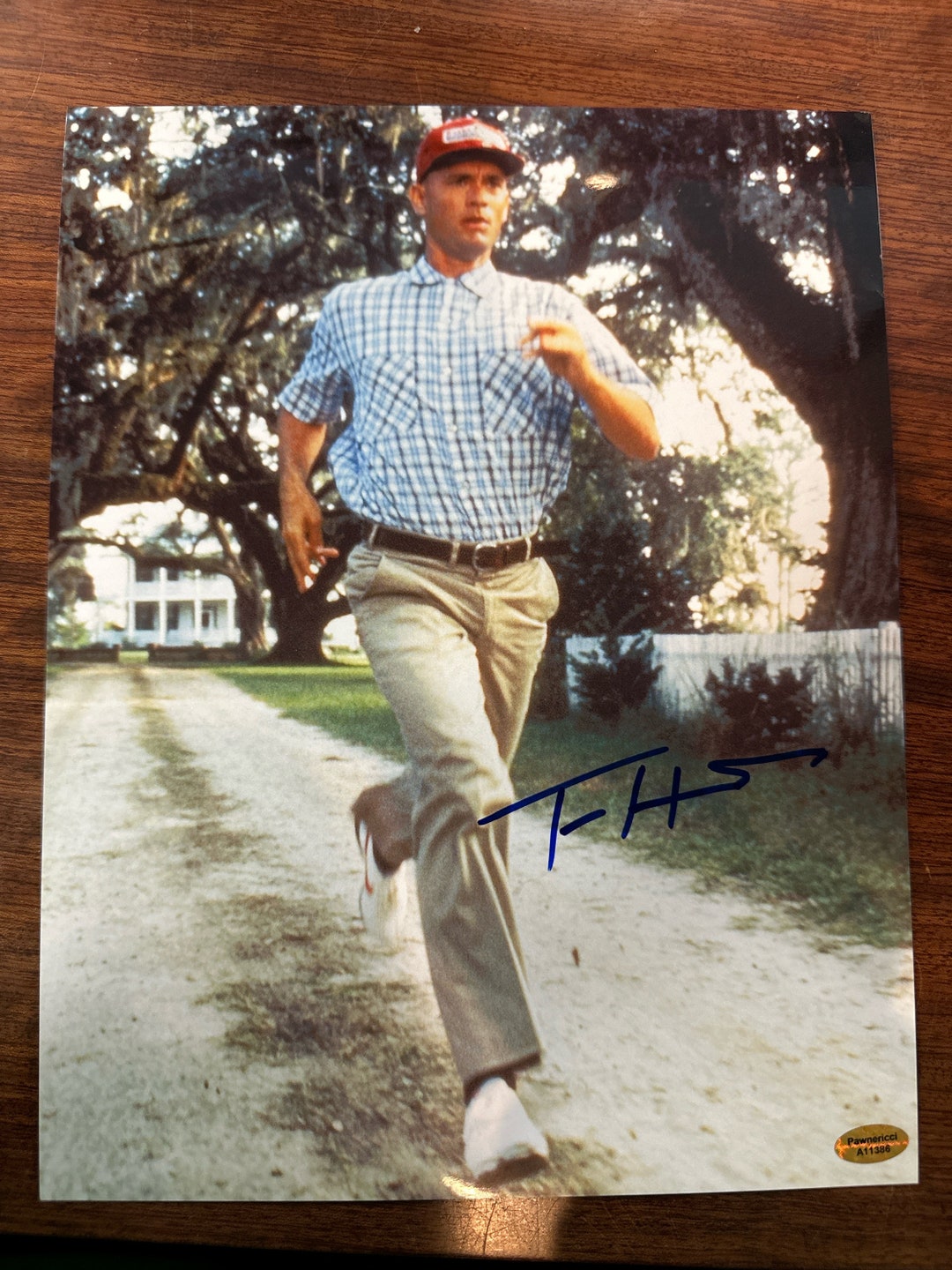 Tom Hanks Forest Gump 8.5x11" Photograph Hand Signed Autograph in Blue ...