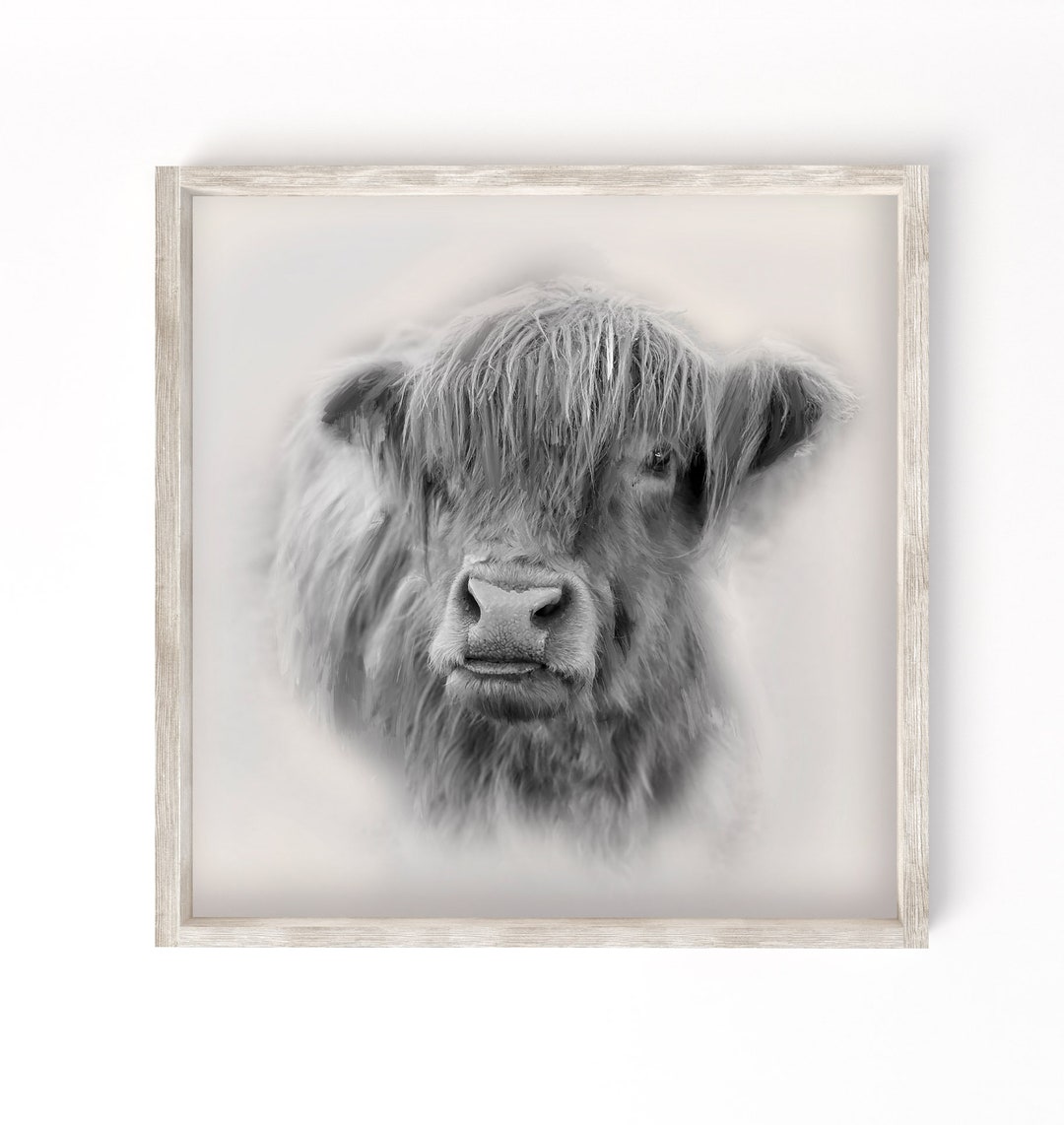 Highland Cow Printable, Shaggy Cow Sign, Cow Printable Art, Highland ...