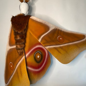 Bullseye Moth Wings Costume Cape Hand-painted Wings Fantasy Clothing ...