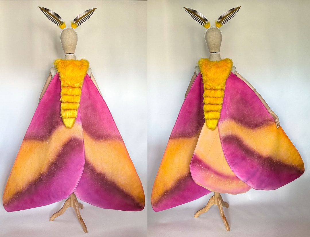 Rosy Maple Moth Costume Fantasy Wings Hand Painted - Etsy